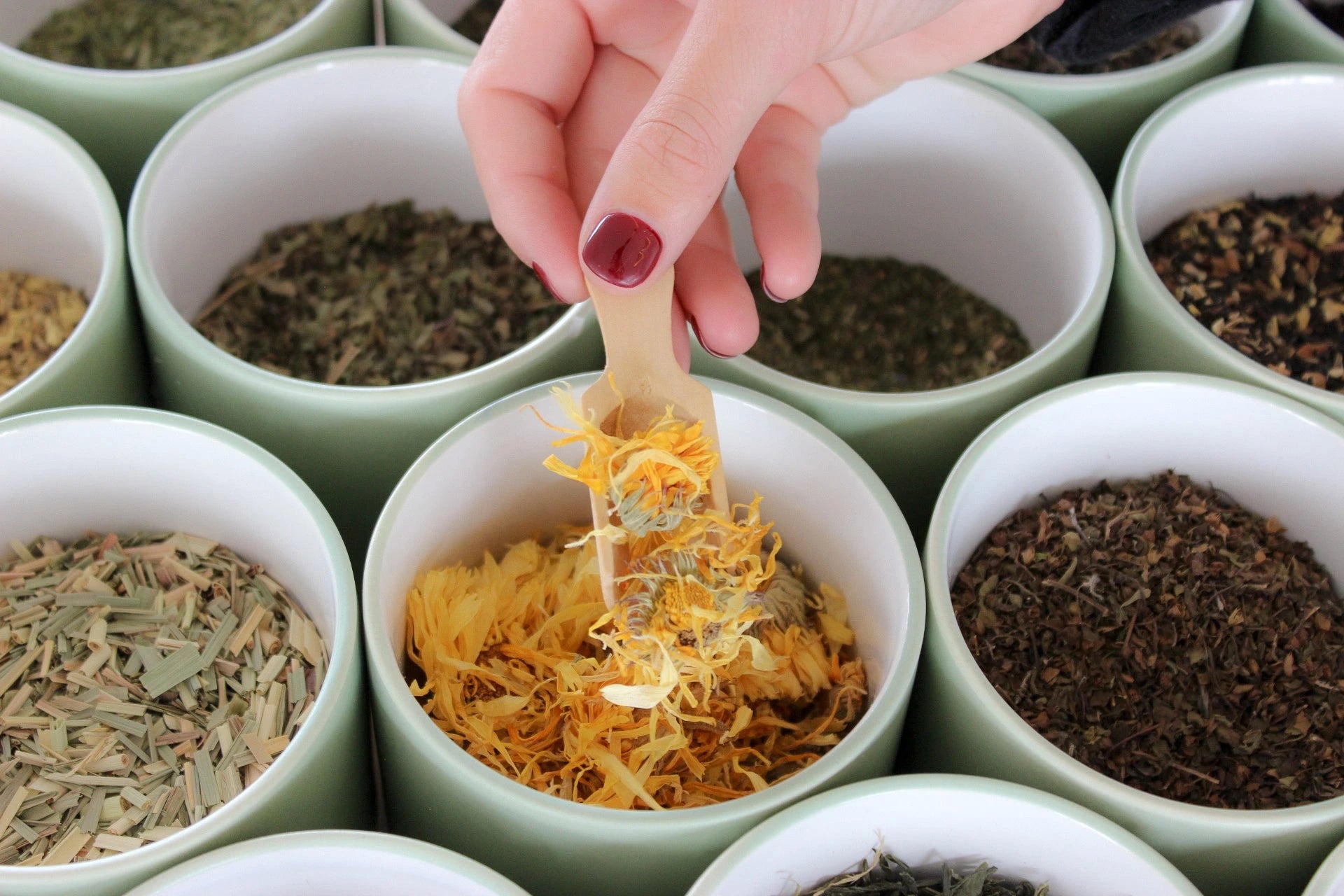 Tea experience on Waiheke Island | Timmy Smith